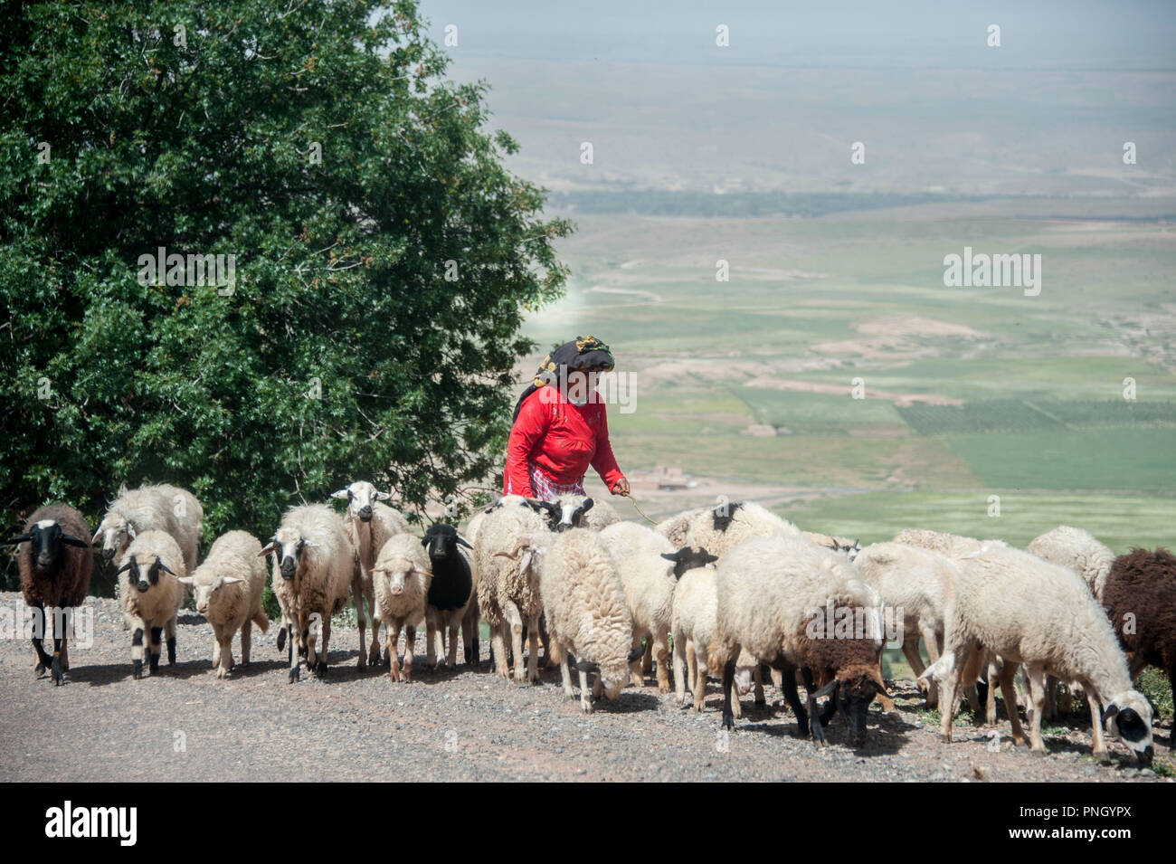 Atlas farming hi-res stock photography and images - Alamy