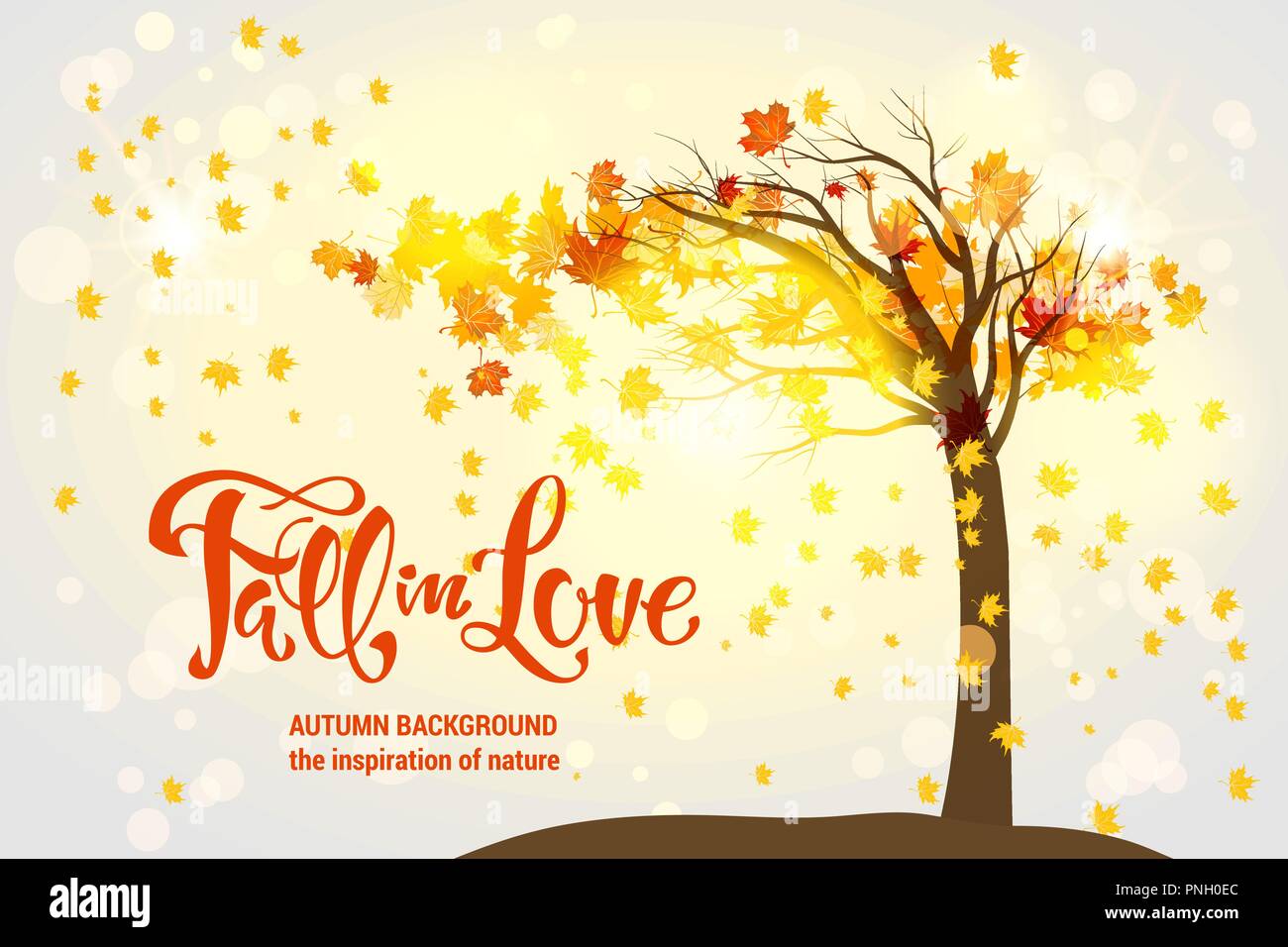Bright autumn tree orange Stock Vector Images - Alamy