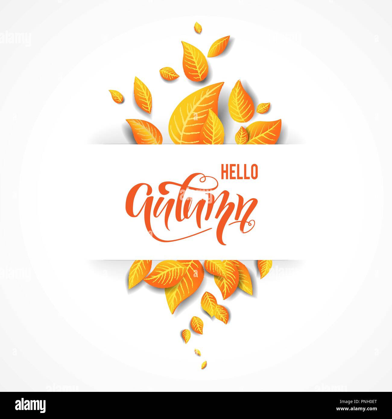 Orange Bright leaves background Stock Vector Image & Art - Alamy