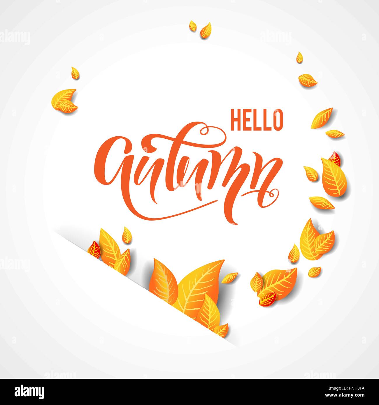 Bright fall leaves background Stock Vector Image & Art - Alamy