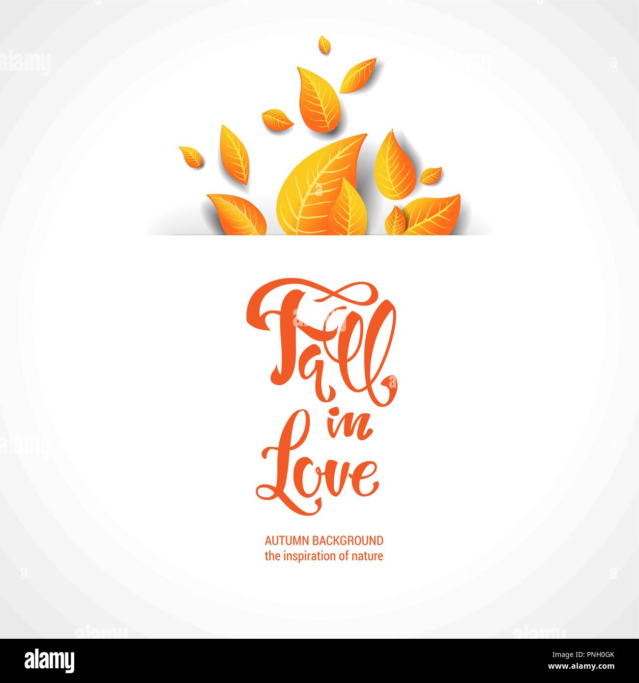 Bright leaves fall card Stock Vector Image & Art - Alamy