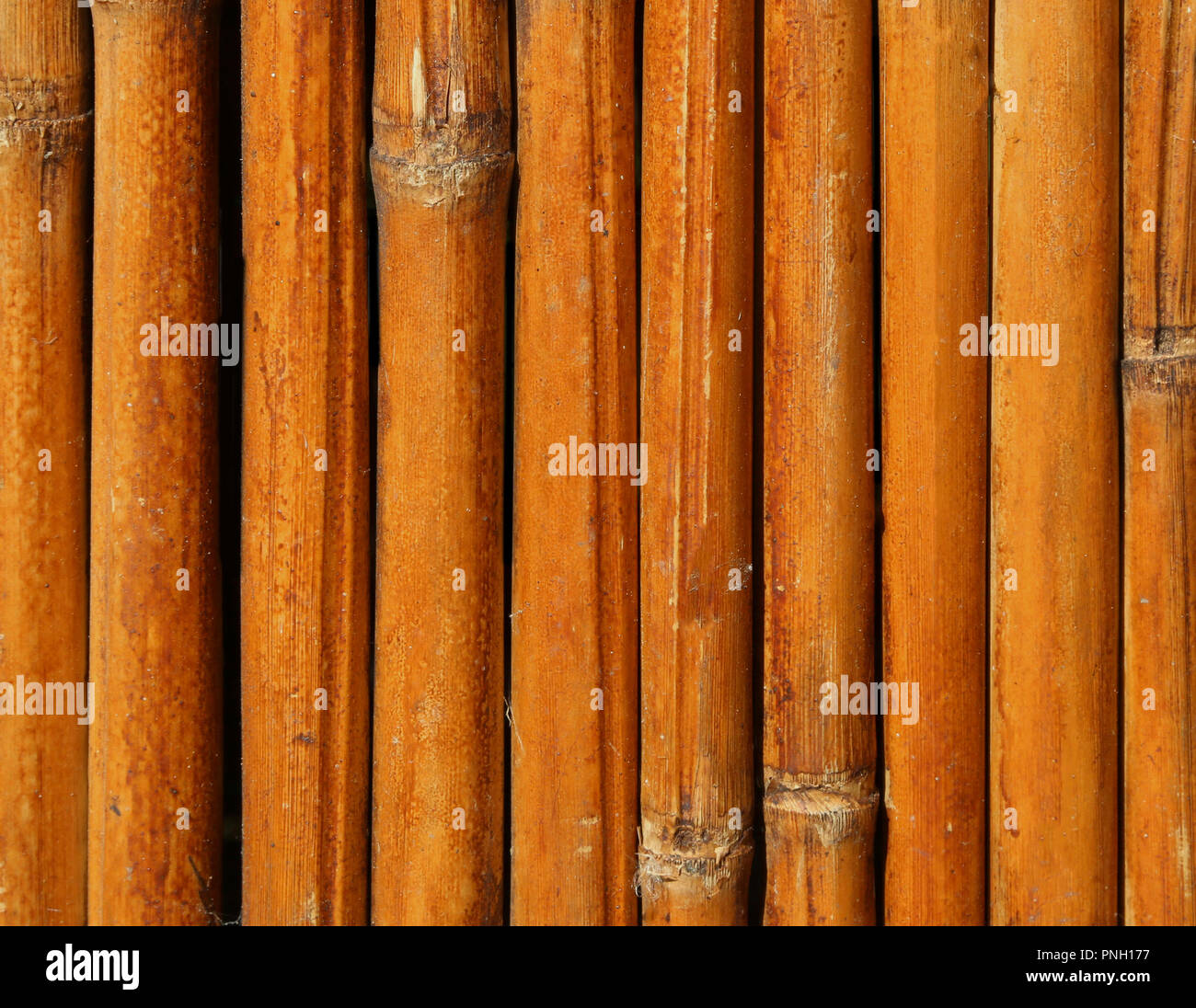 background of dried bamboo reeds Stock Photo - Alamy