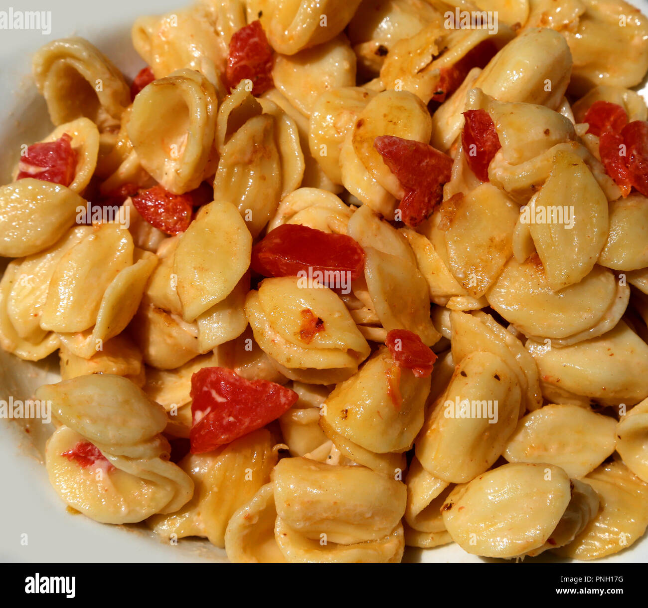 italian pasta called ORECCHIETTE in italian language with tomato sauce ...