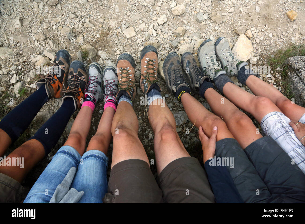 Ten legs hi-res stock photography and images - Alamy