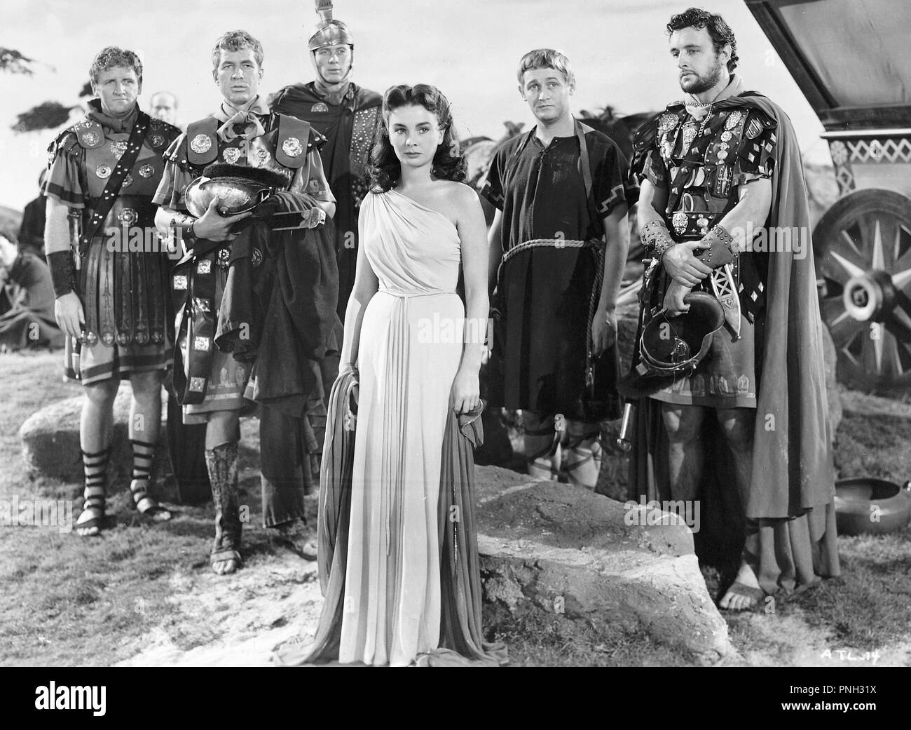 Androcles lion alan young 1952 hi-res stock photography and images - Alamy