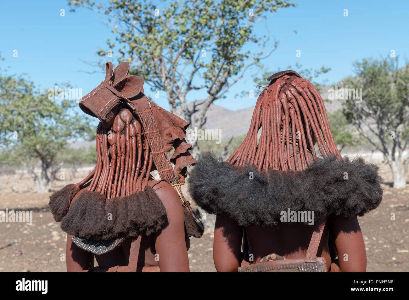 Detail of the head dress of Himba women in Namibia Africa Stock Photo ...