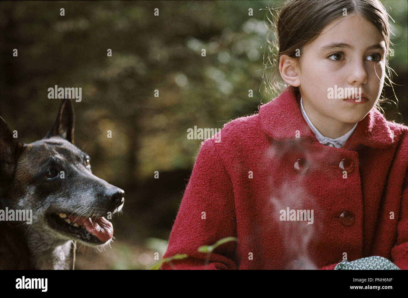 Kraghede bellugi hi-res stock photography and images - Alamy