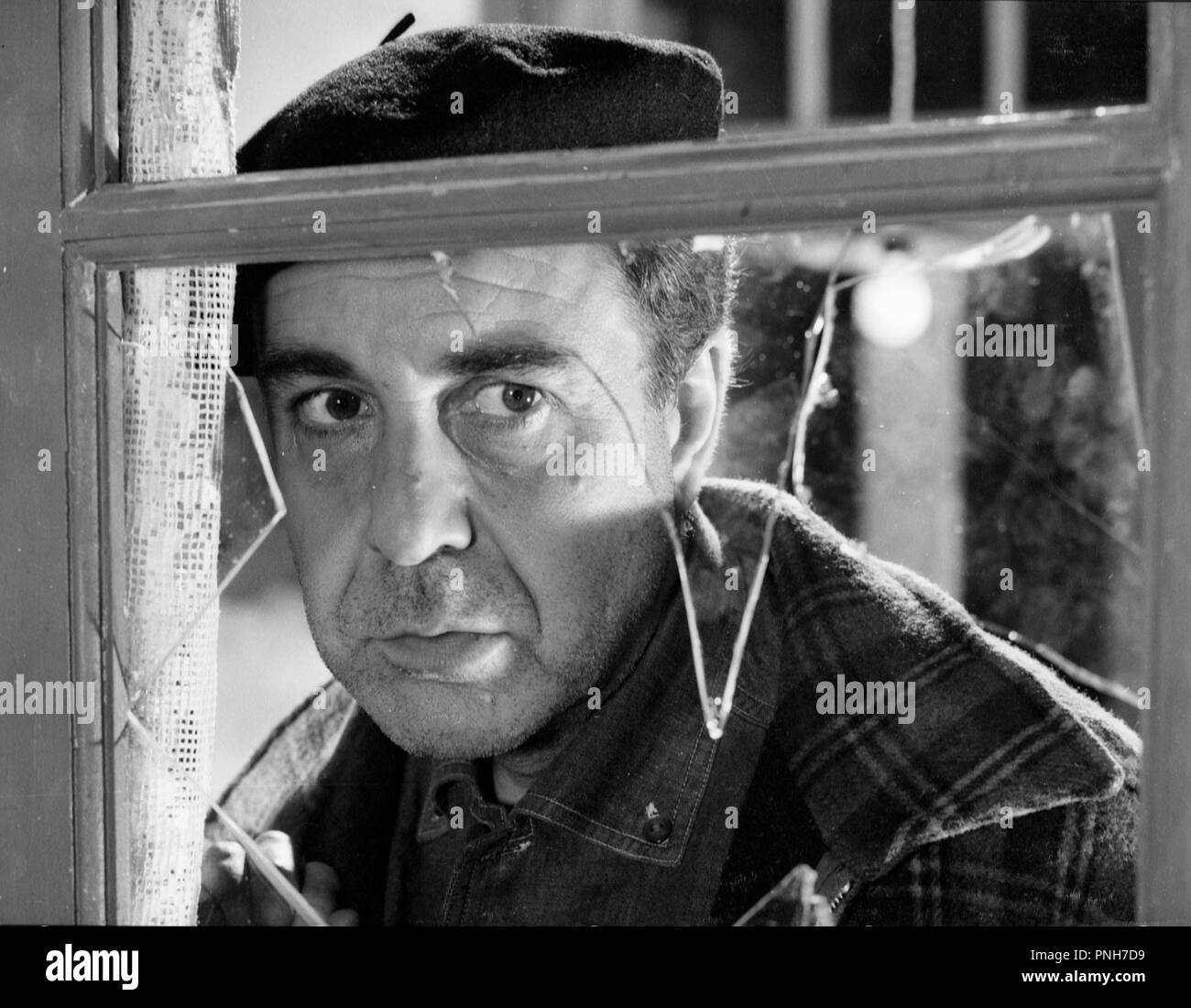 Rogelia High Resolution Stock Photography and Images - Alamy