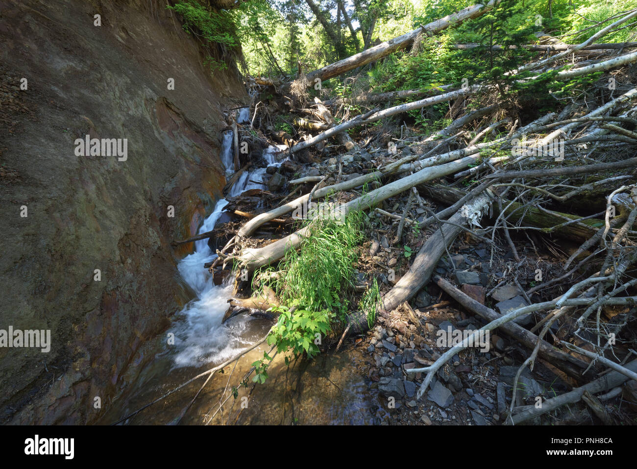Sakhalin River Landscape High Resolution Stock Photography and Images ...