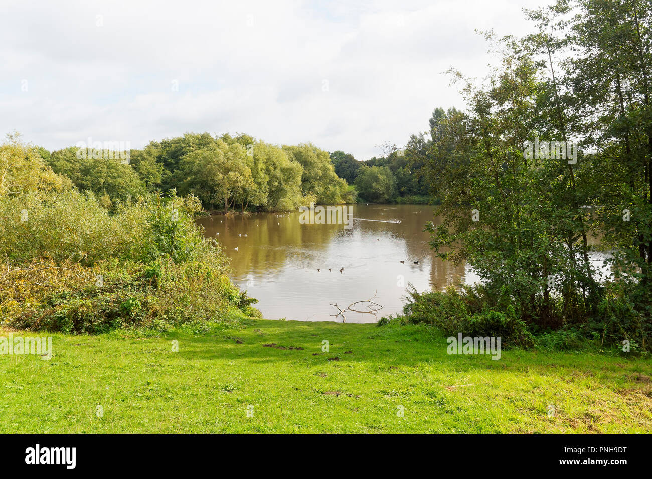 A grass slope leads down to a gap in the trees to a small lake where ...