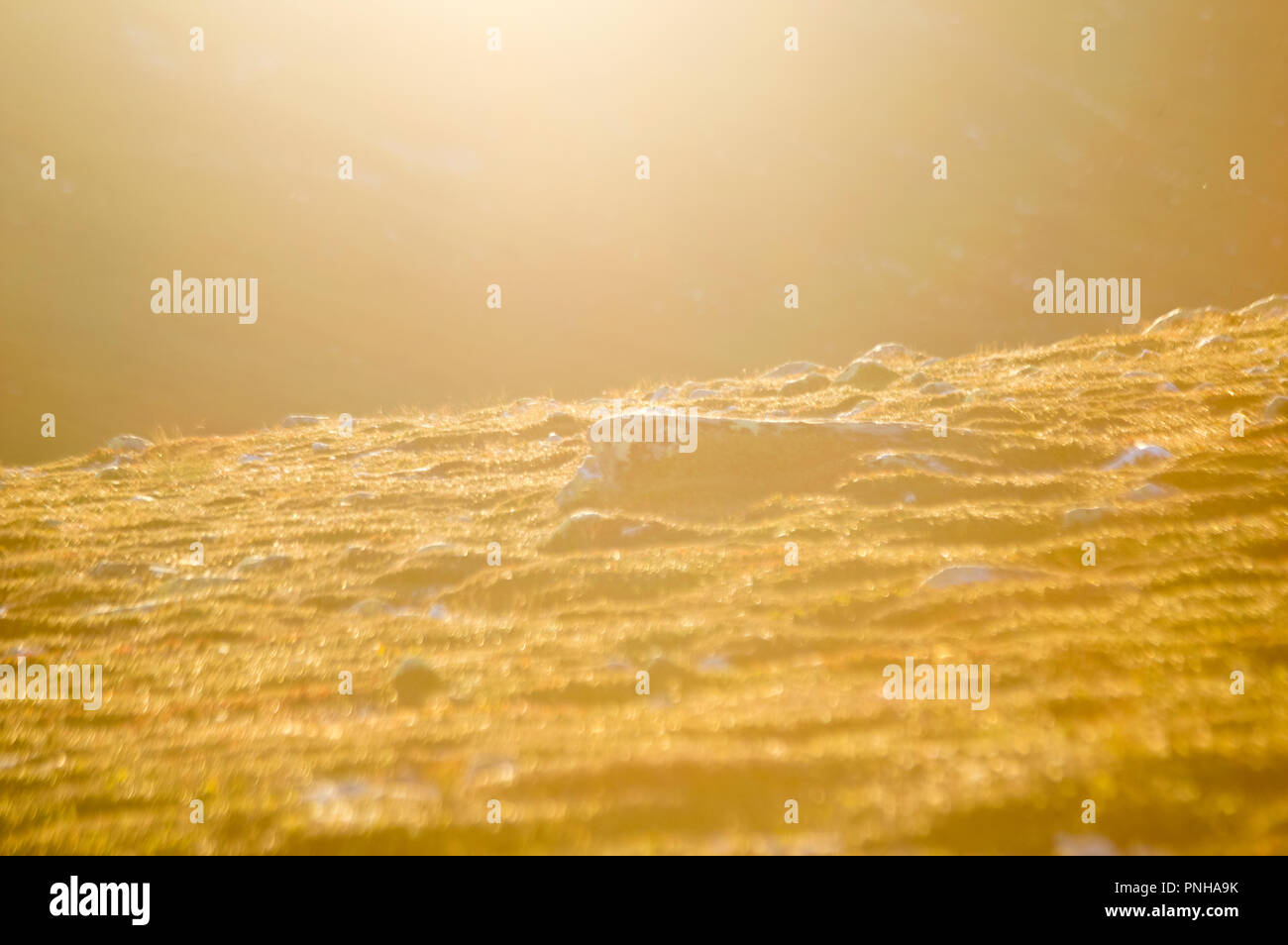 Side flare hi-res stock photography and images - Alamy
