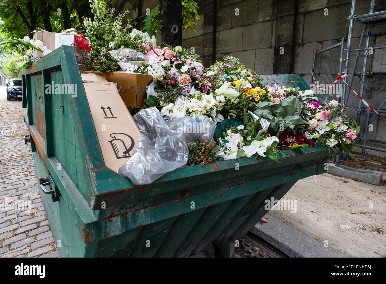 Discarded flowers on the ground hi-res stock photography and images - Alamy