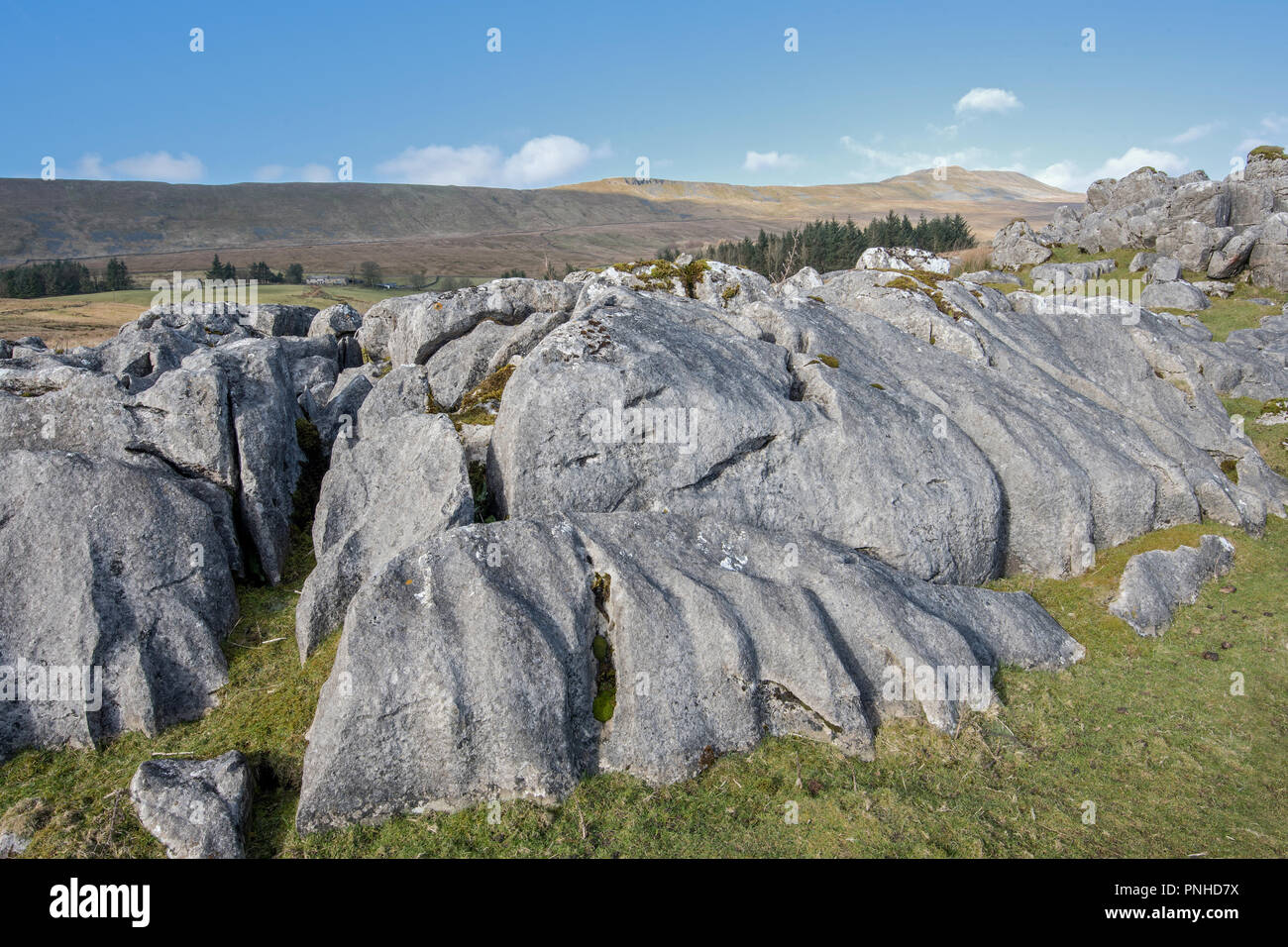 Below whernside hi-res stock photography and images - Alamy