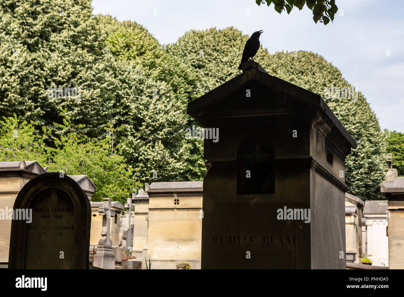 A raven perched on top of a tomb at Père Lachaise Cemetery, Paris ...