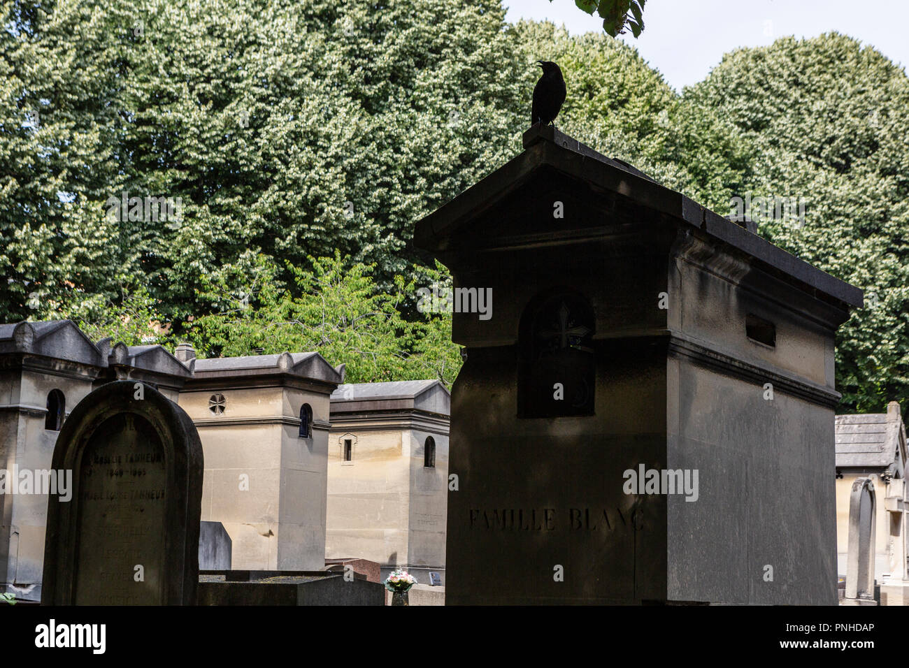 Raven on the tombstone hi-res stock photography and images - Alamy
