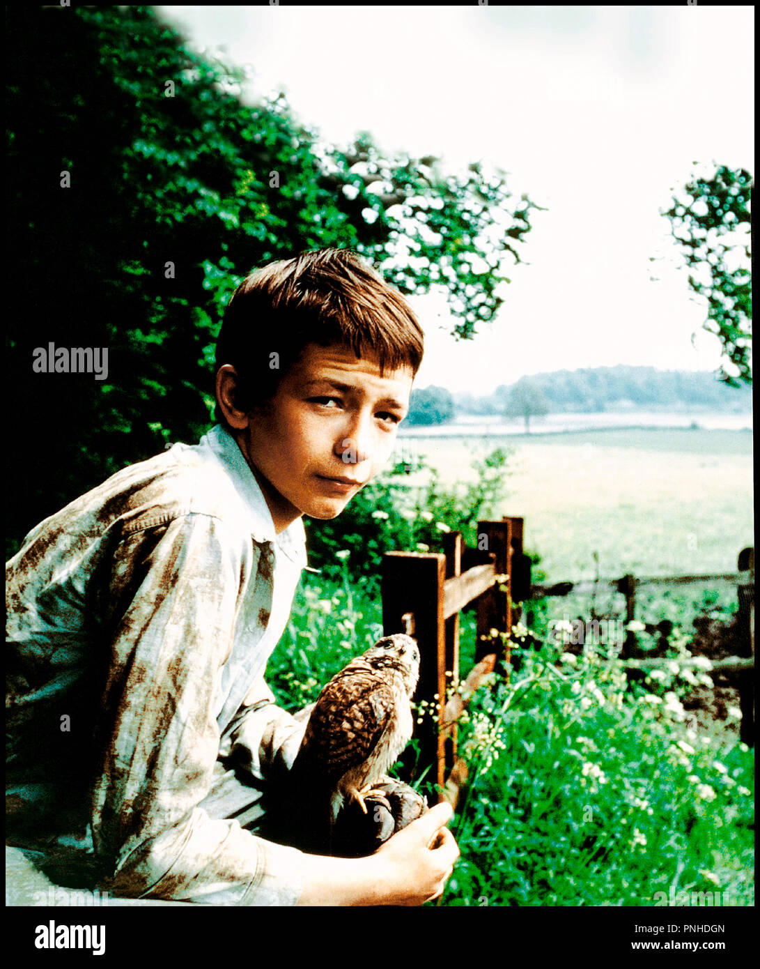 Kes 1969 David Bradley Stock Photos & Kes 1969 David Bradley Stock ...