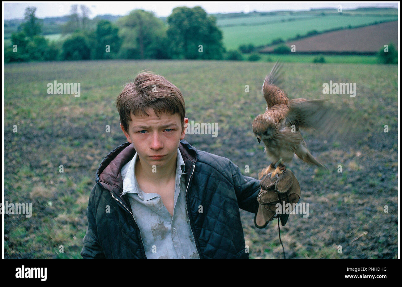 David Woodfall Stock Photos & David Woodfall Stock Images - Alamy