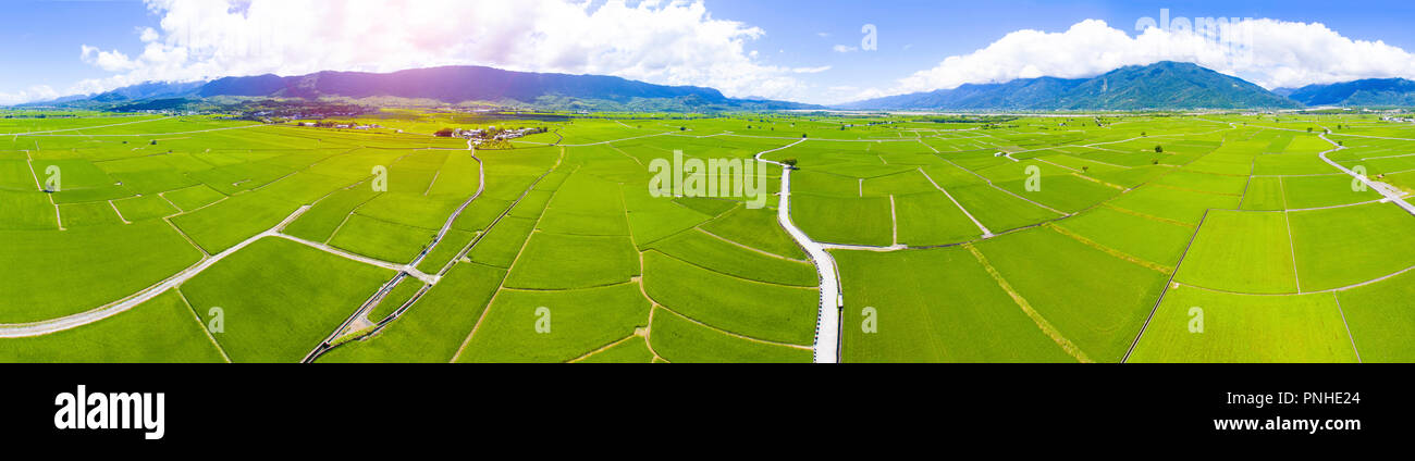 aerial view of rice field valley. taiwan Stock Photo - Alamy