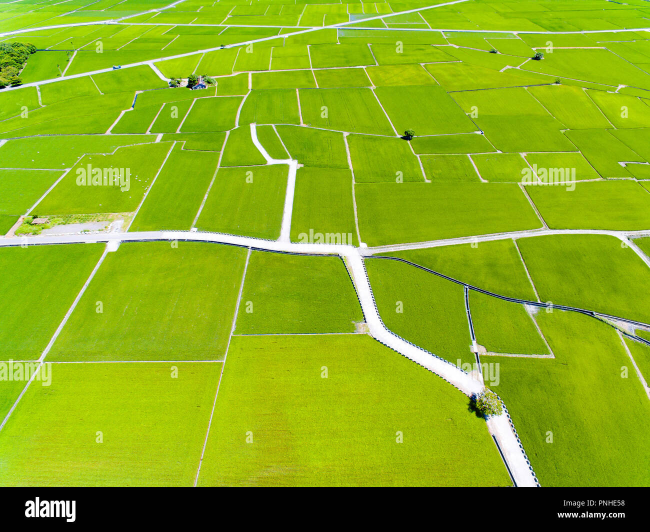aerial view of rice field . taiwan Stock Photo - Alamy