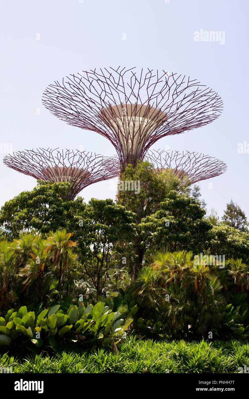 Solar trees singapore hi-res stock photography and images - Alamy