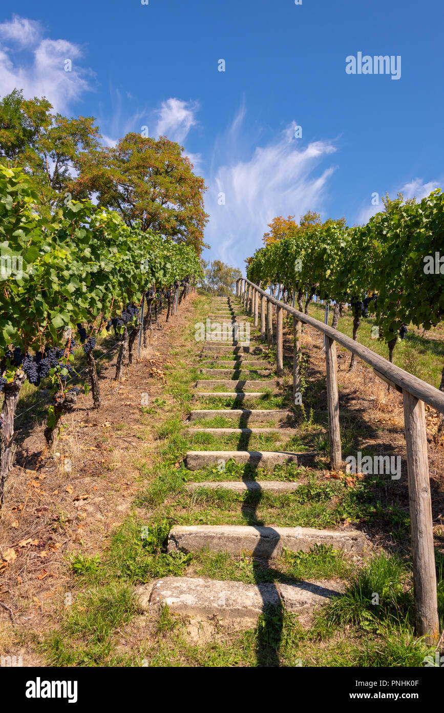 Wooden steps up steep hill hi-res stock photography and images - Alamy