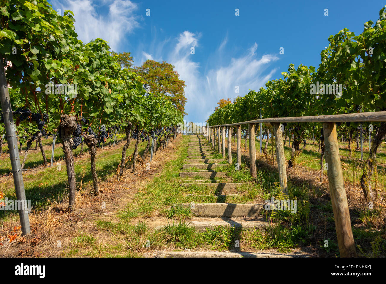 Wooden steps up steep hill hi-res stock photography and images - Alamy