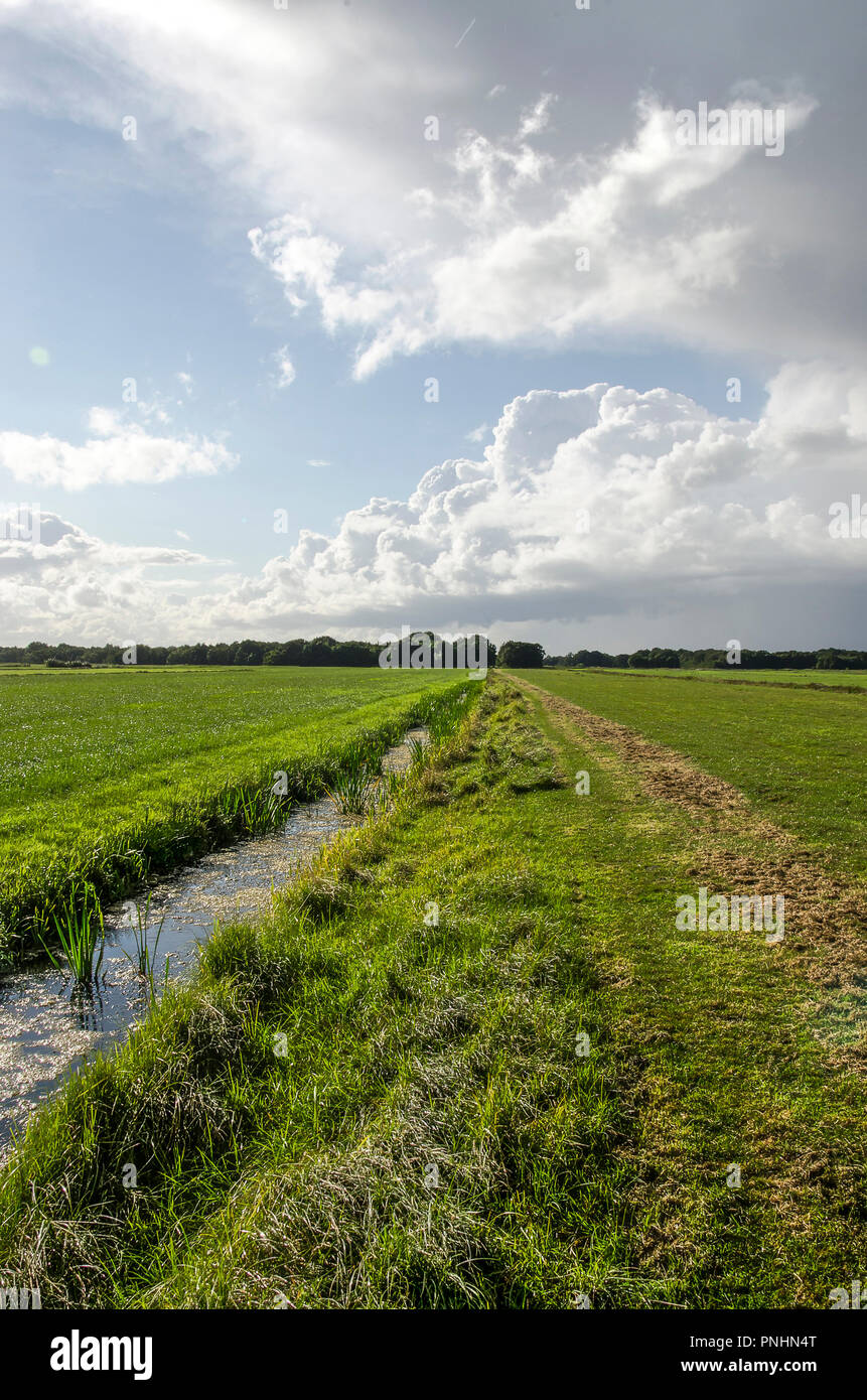 Dark ditch hi-res stock photography and images - Alamy