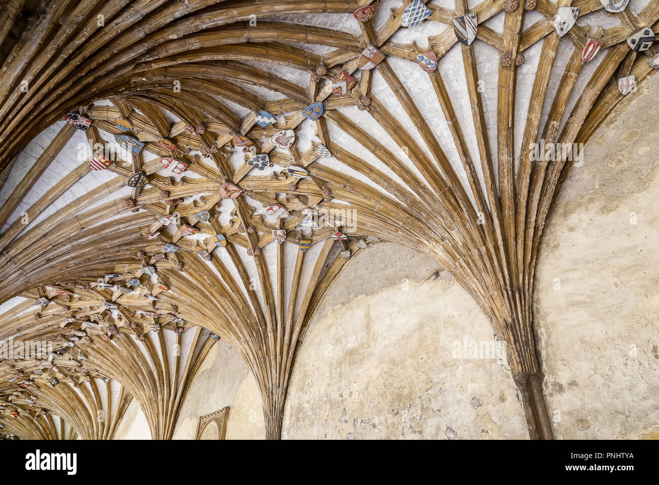 Timber ceiling structure hi-res stock photography and images - Alamy