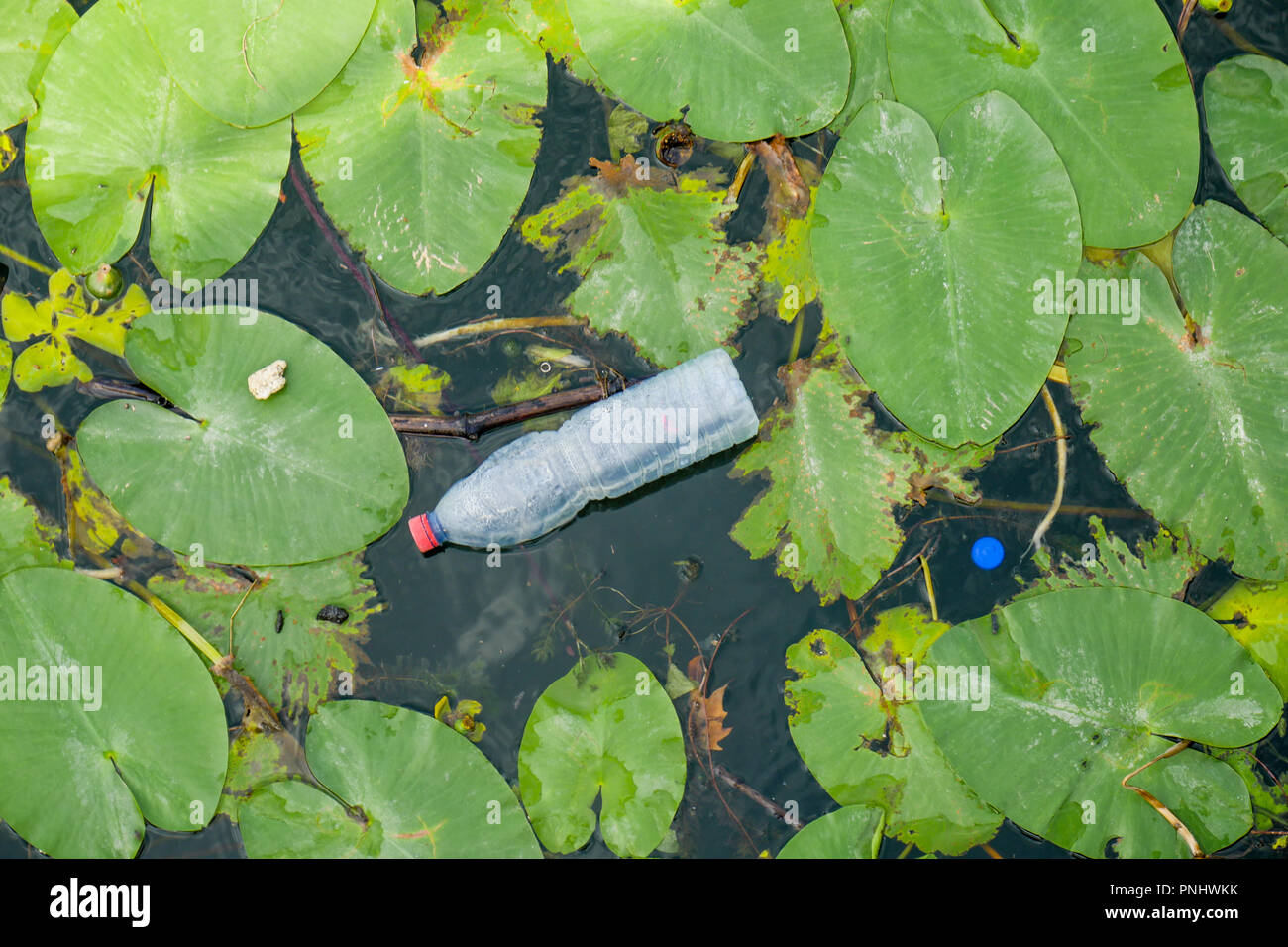 Plastic bottle floating on the river Saone, Lyon, France Stock Photo ...