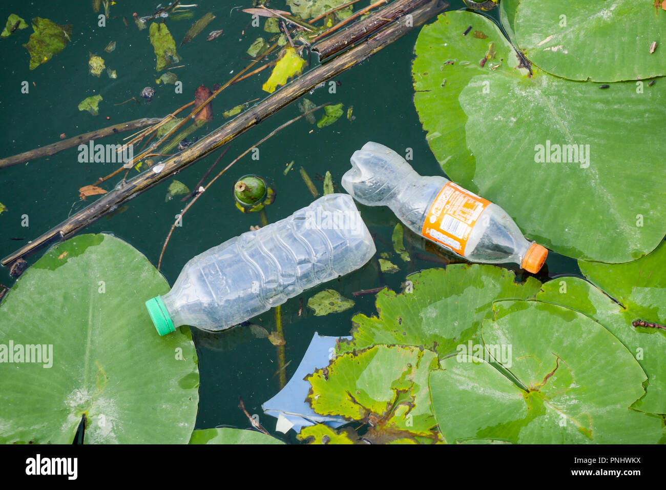 Plastic bottles floating on the river Saone, Lyon, France Stock Photo ...