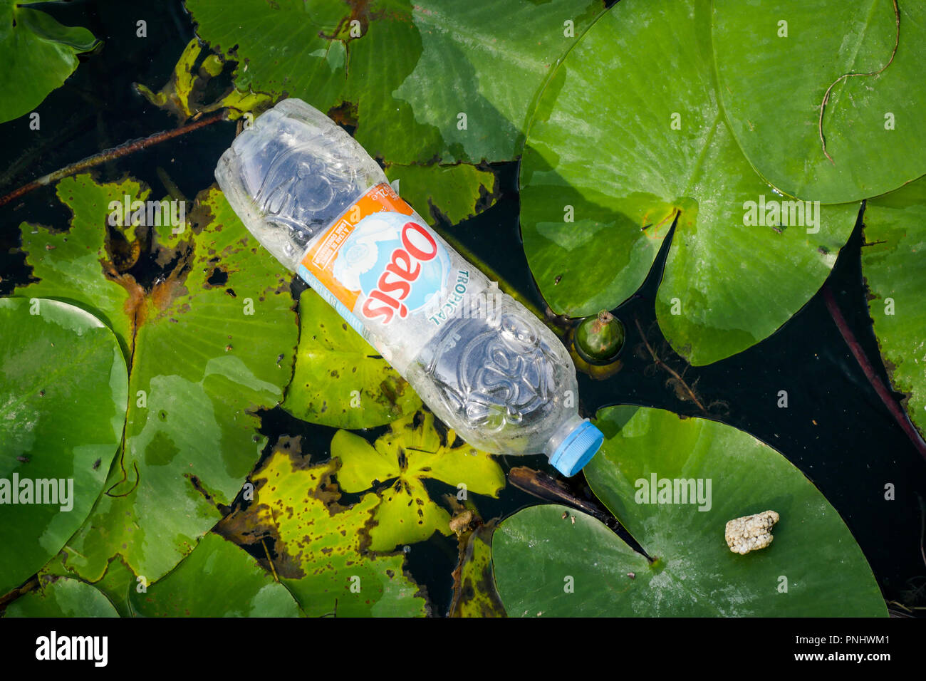 Plastic bottle floating on the river Saone, Lyon, France Stock Photo ...