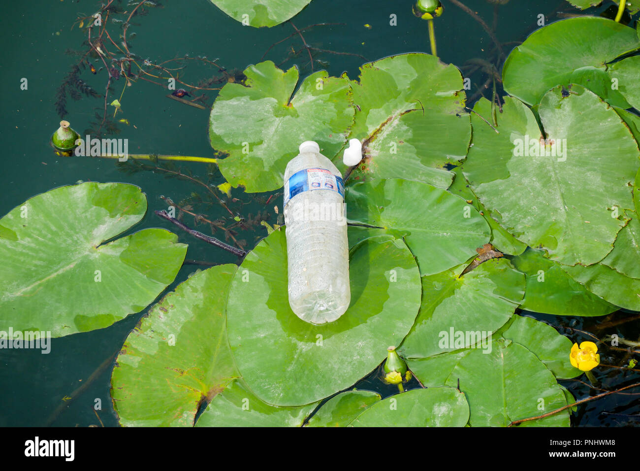 Plastic bottle floating on the river Saone, Lyon, France Stock Photo ...