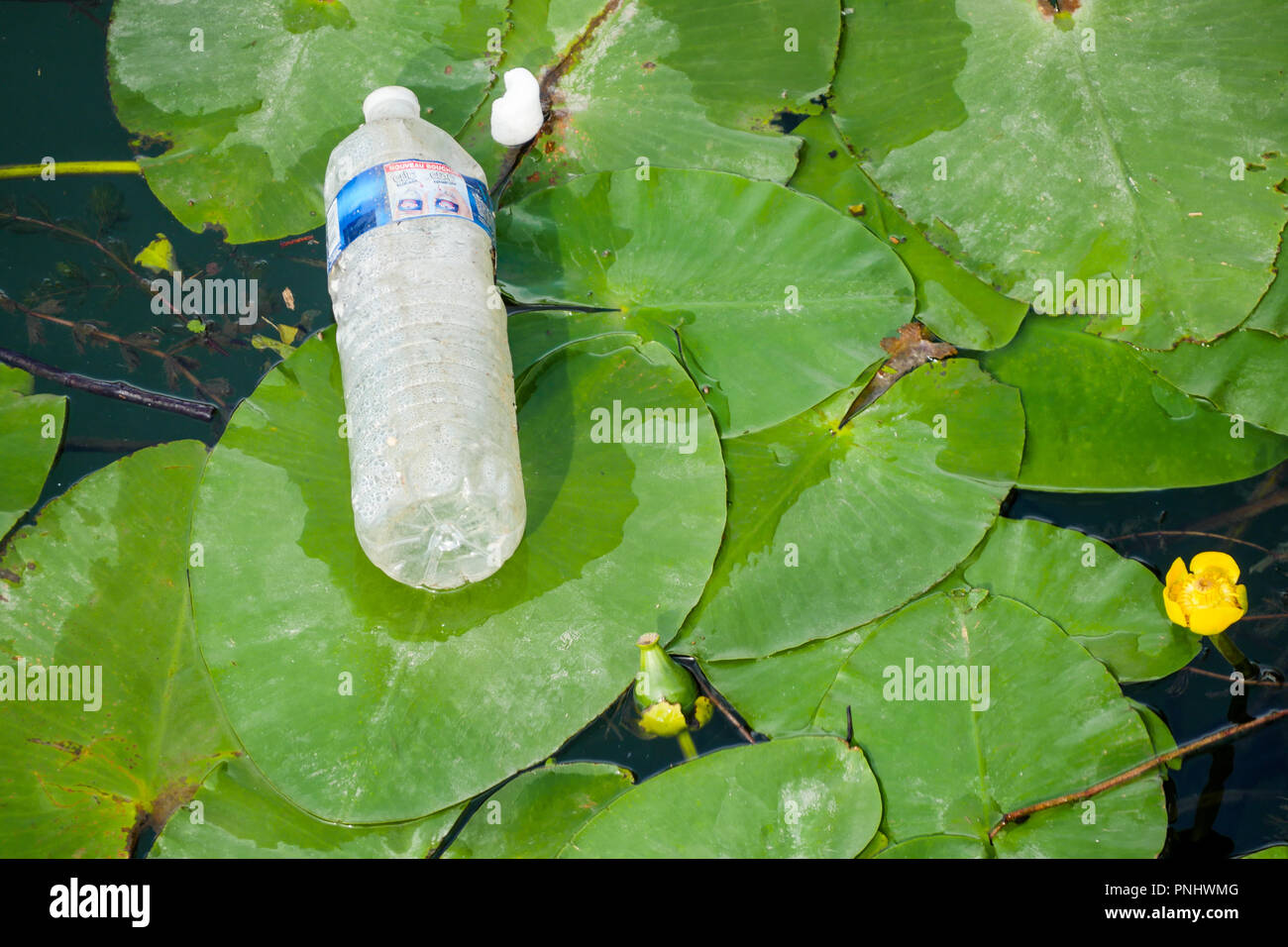 Plastic bottle floating on the river Saone, Lyon, France Stock Photo ...