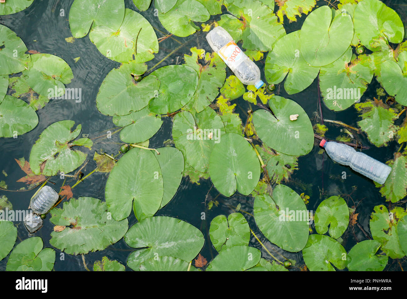 Plastic bottles floating on the river Saone, Lyon, France Stock Photo ...