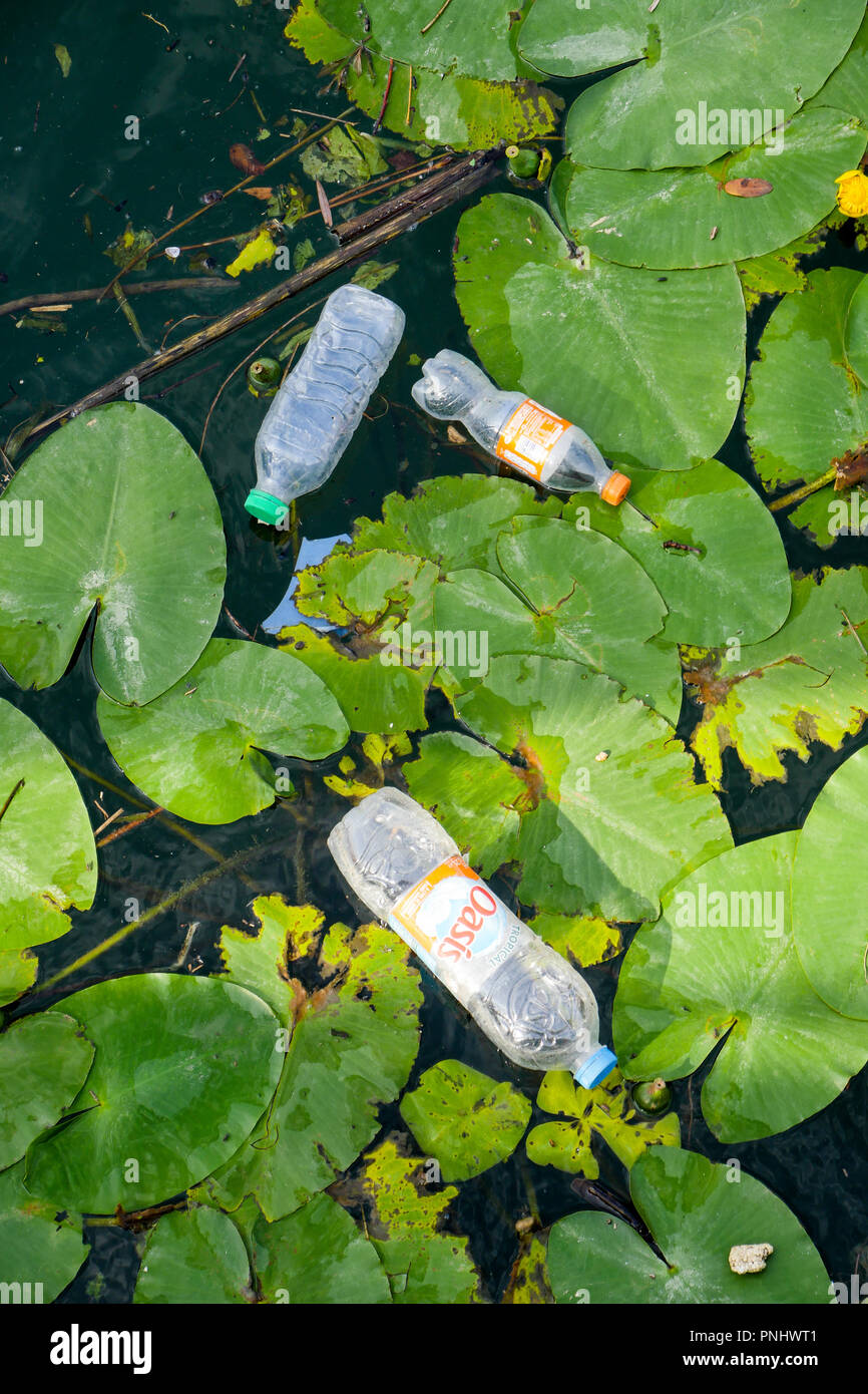 Plastic bottles floating on the river Saone, Lyon, France Stock Photo ...