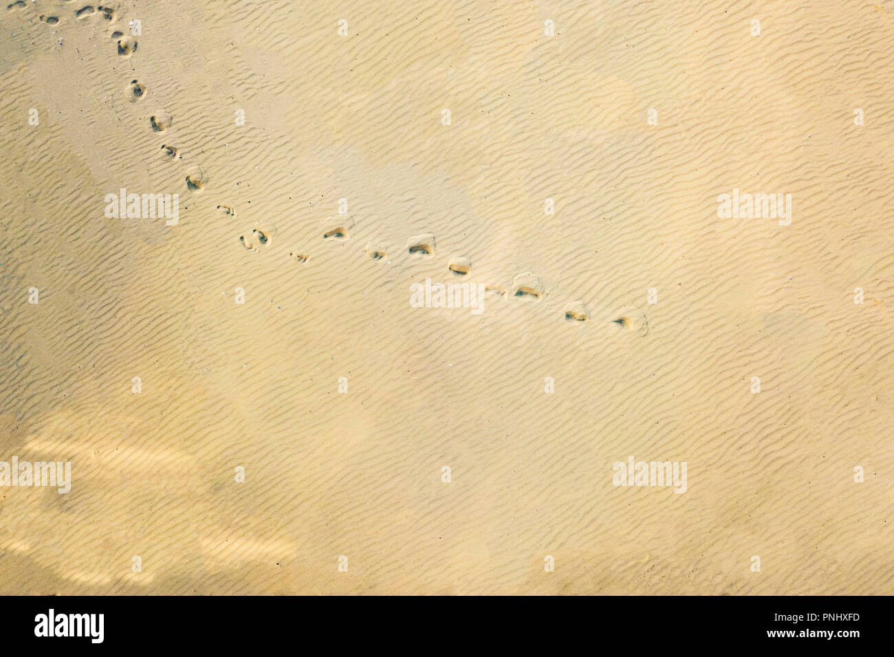 top aerial view of footsteps footprints on sand dunes in desert Stock ...
