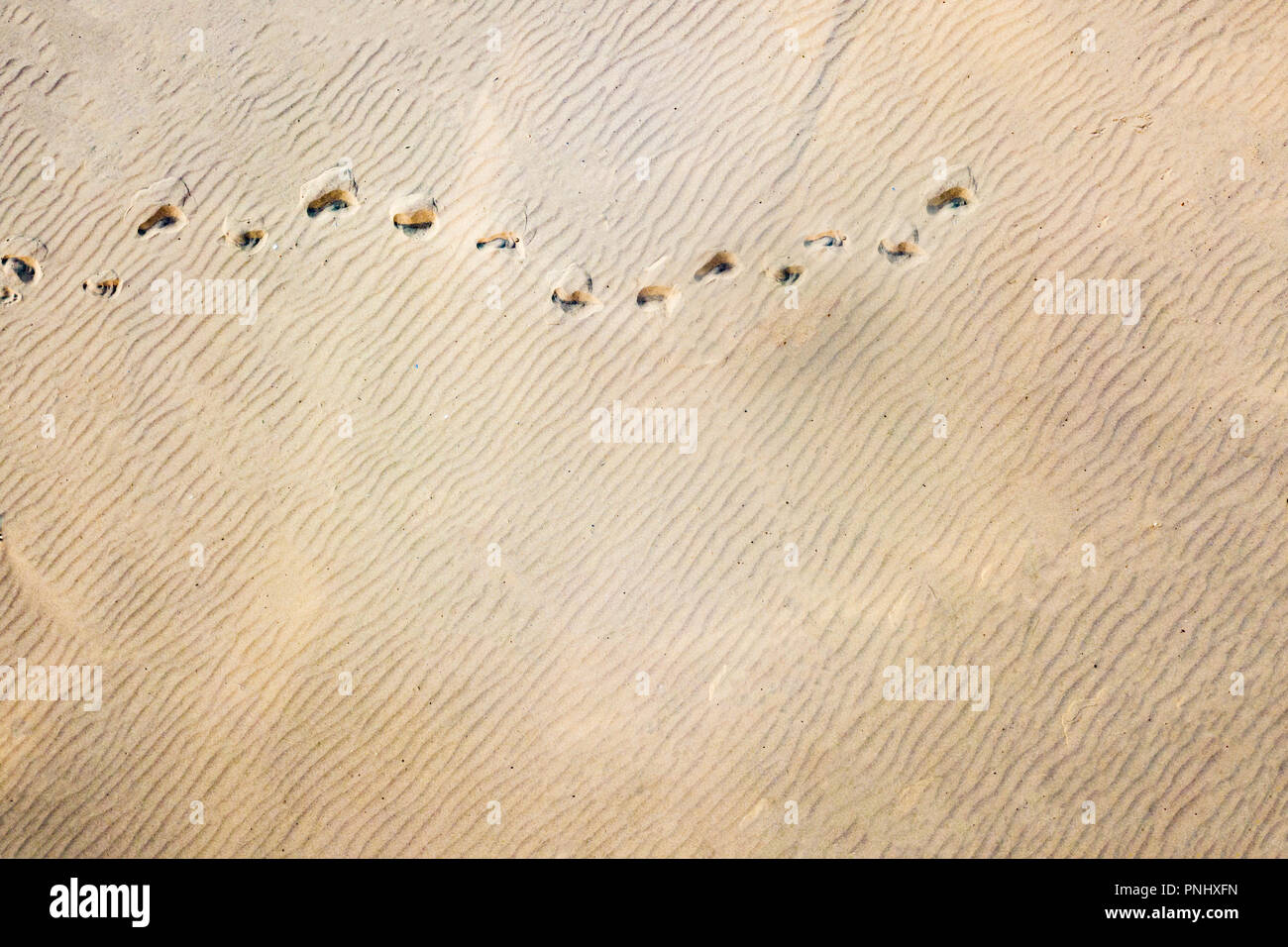 top aerial view of footsteps footprints on sand dunes in desert Stock ...