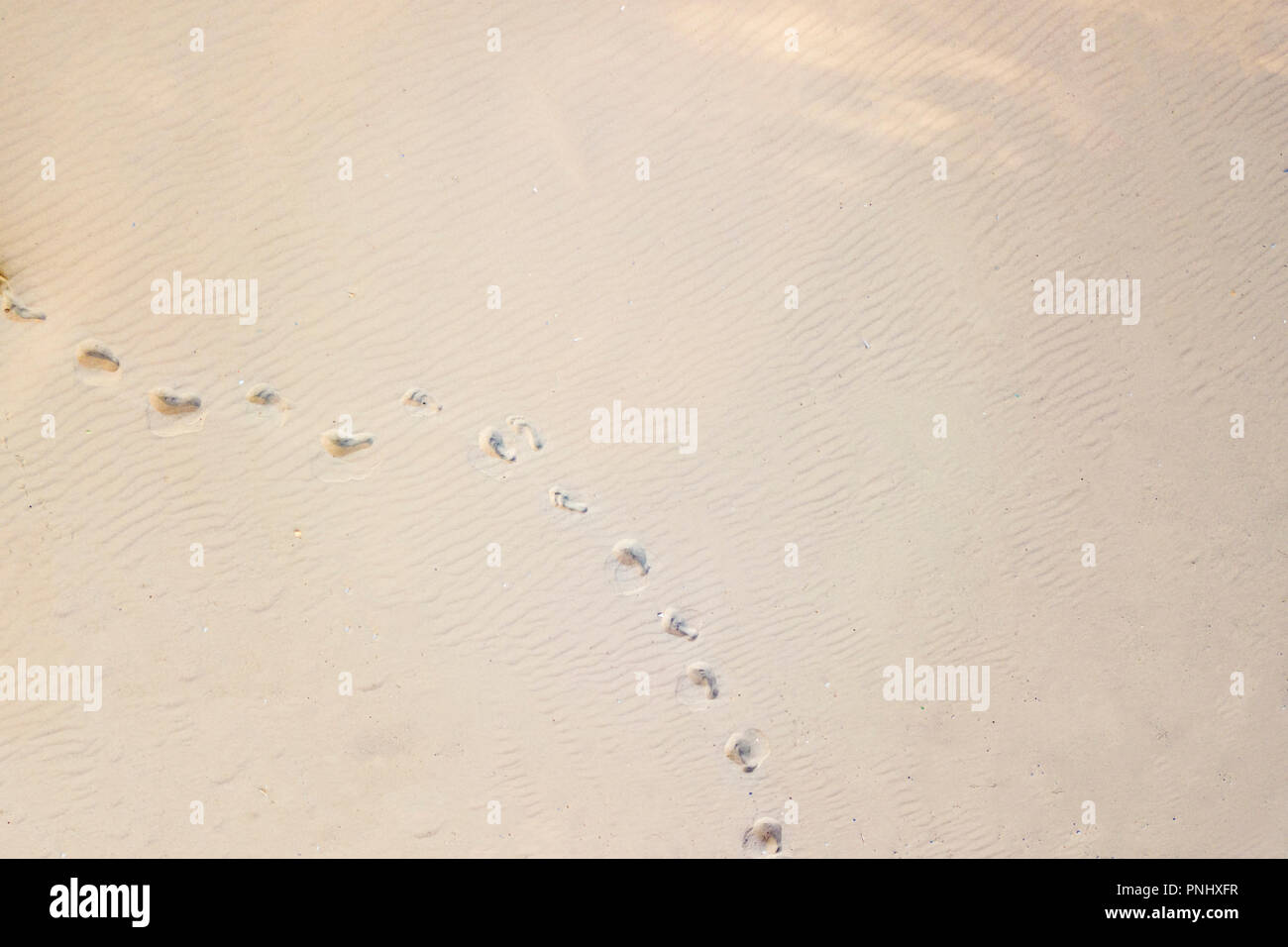 top aerial view of footsteps footprints on sand dunes in desert Stock ...