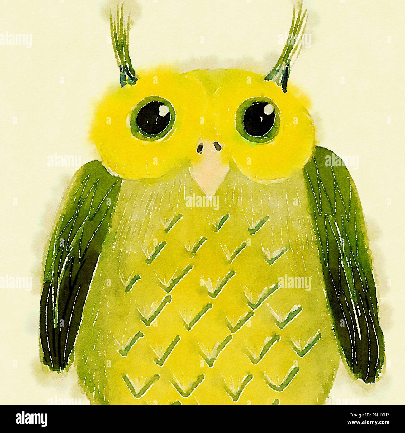 Watercolour owl illustration hi-res stock photography and images - Alamy