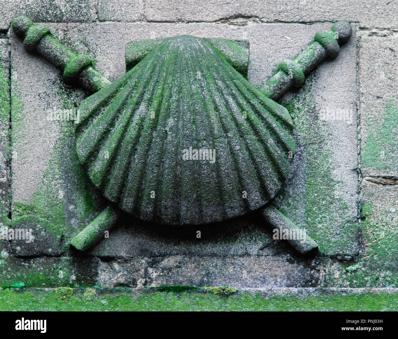 Concha Vieira, en la pared de la Catedral de Santiago de Compostela. La ...