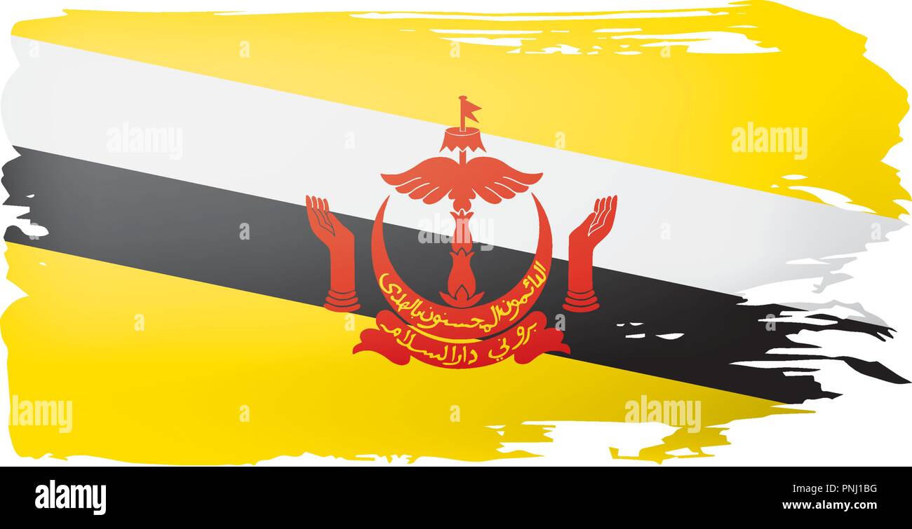 Brunei flag, vector illustration on a white background Stock Vector ...
