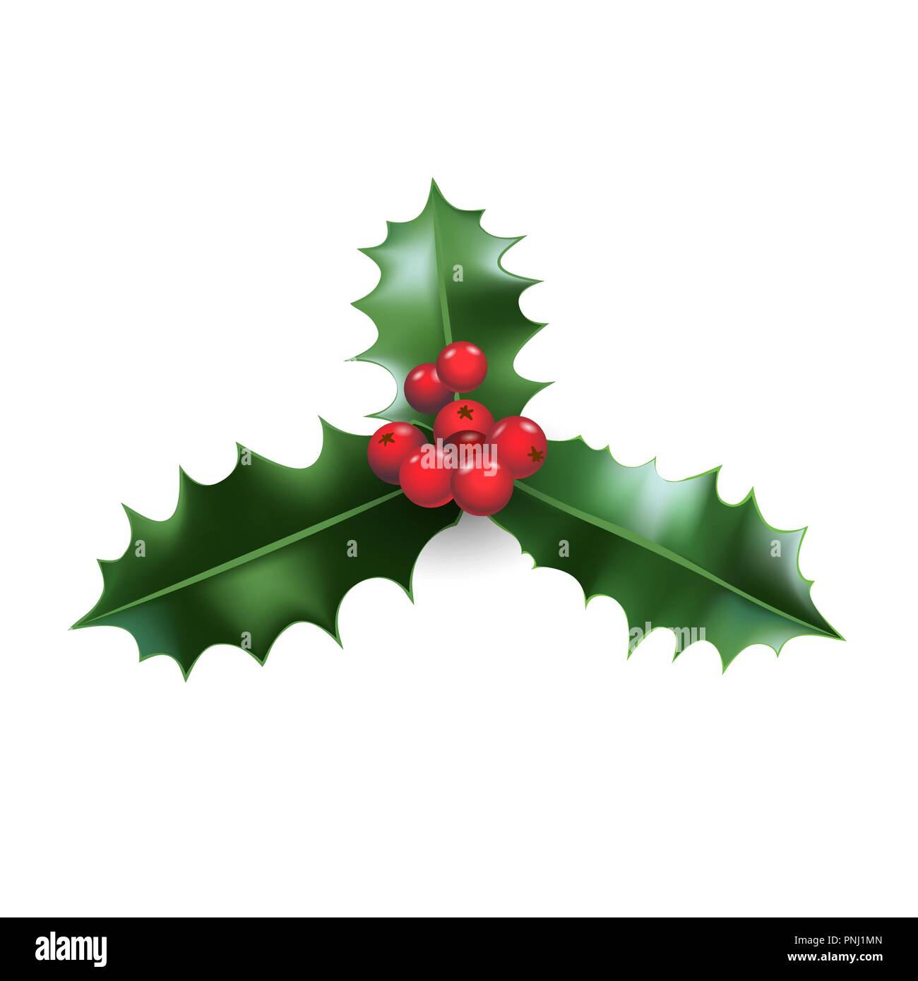 Holly Christmas decor Stock Vector Image & Art - Alamy