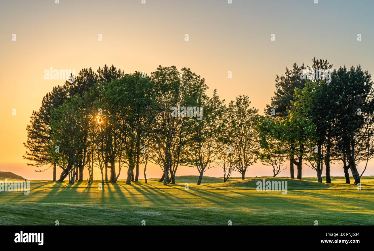 Sunset sun light sunlight hi-res stock photography and images - Alamy