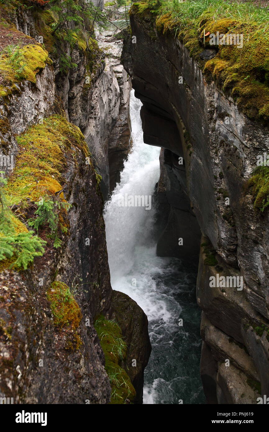 Steep narrow gorge at Maligne Canyon in Jasper National Park, Alberta ...