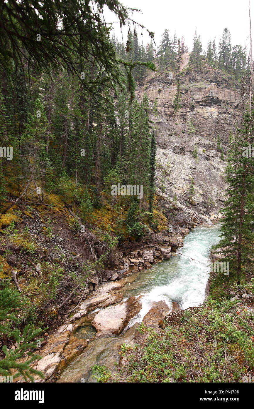 Steep narrow gorge at Maligne Canyon in Jasper National Park, Alberta ...