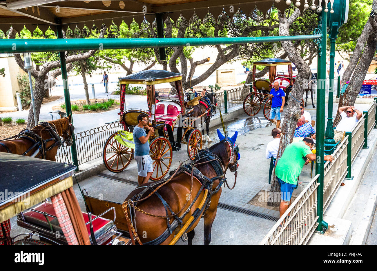 Maltese horse drawn carriage hi-res stock photography and images - Alamy