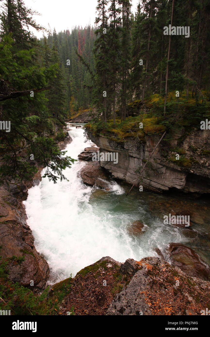 Steep narrow gorge at Maligne Canyon in Jasper National Park, Alberta ...