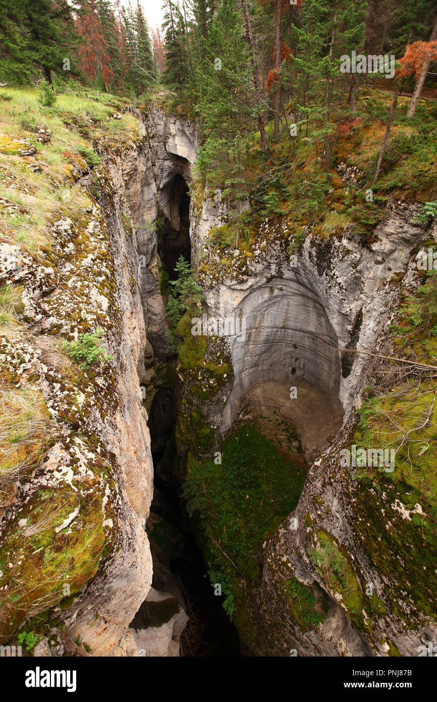 Steep narrow gorge at Maligne Canyon in Jasper National Park, Alberta ...