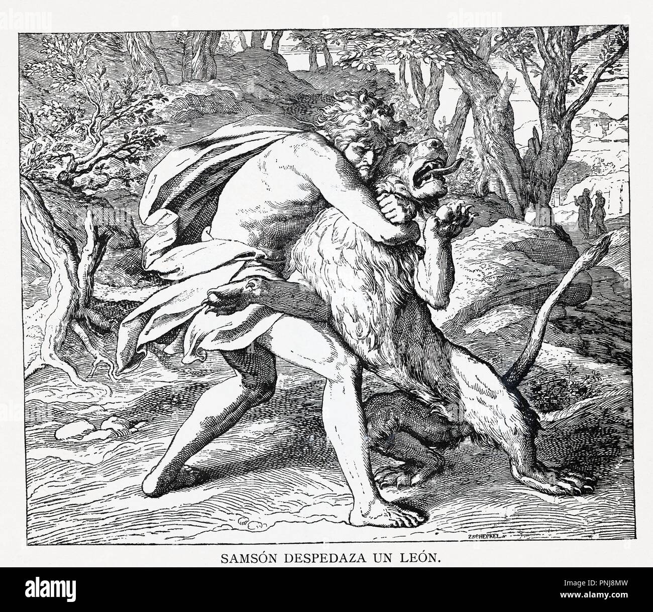 SAMSON DESPEDAZA UN LEON. Grabado de 1889. Álbum de Historia Sagrada ...