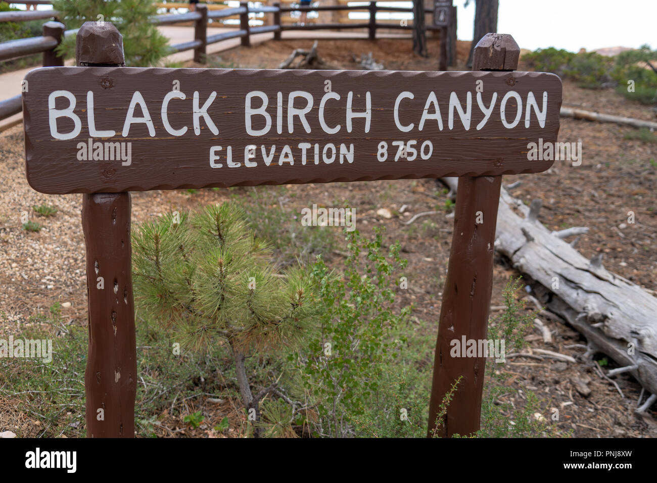 Bryce Canyon National Park Sign High Resolution Stock Photography and ...